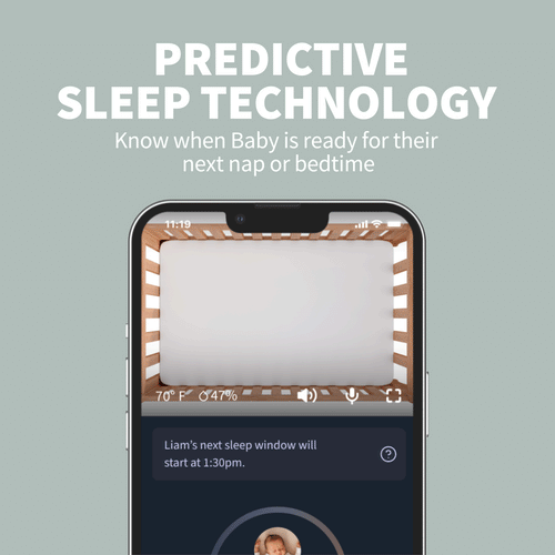 Owlet learning dream sock